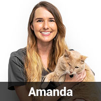 Team - Vet in Irvine | Northwood Animal Hospital